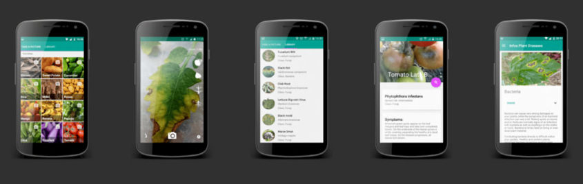 Plantix App diagnostiziert Krankheiten bei Pflanzen